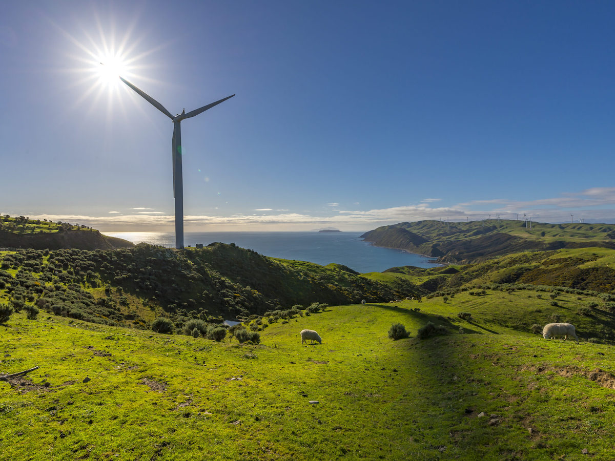 Home - Tonkin + Taylor